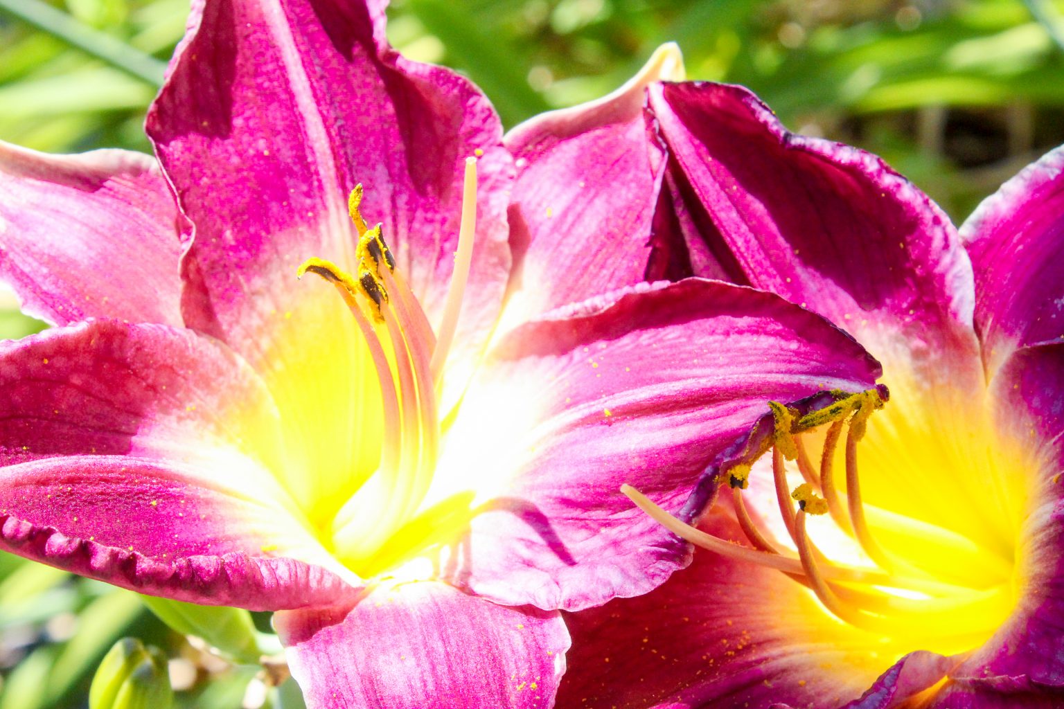 Sois forte et prends courage - Gracieuses Paroles